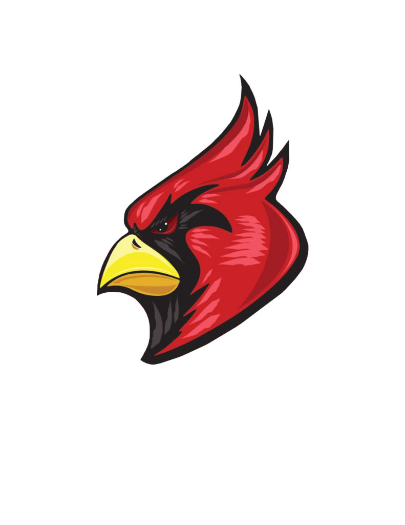 2021-22 Wrestling Preview: Pocono Mountain East Cardinals - D11 Sports