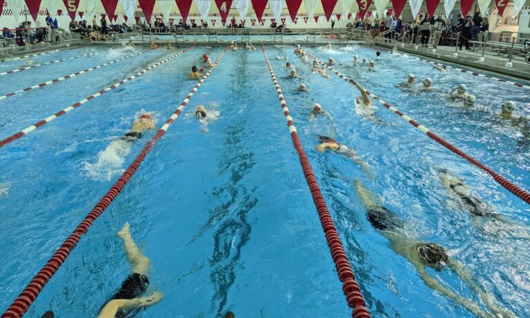 D11 Sports: The #1 Source for District 11 Sports