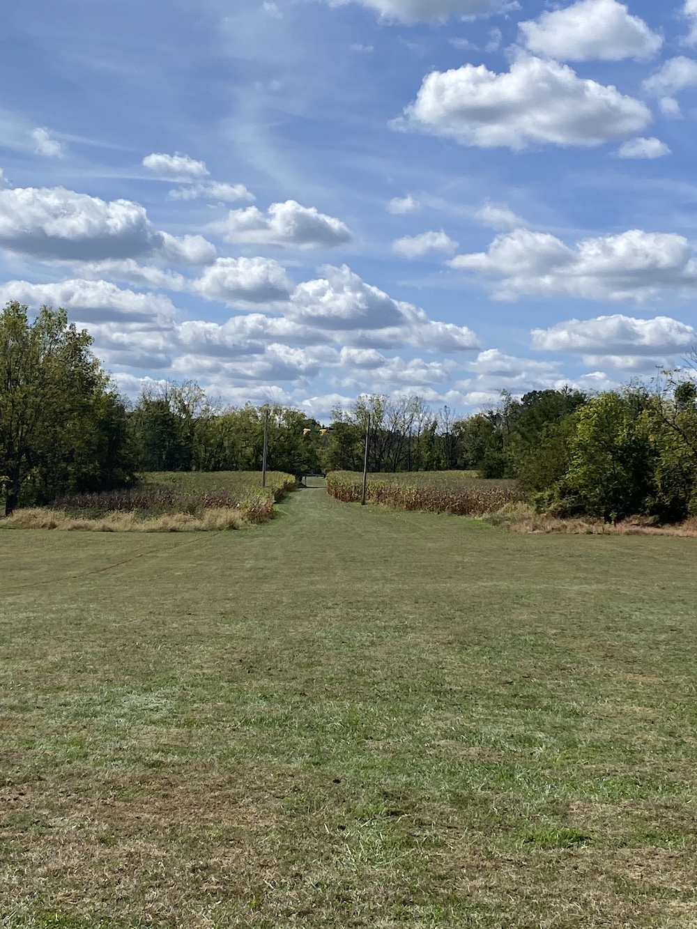 District 11 Athletes Excel In The Paul Short Invitational - D11 Sports